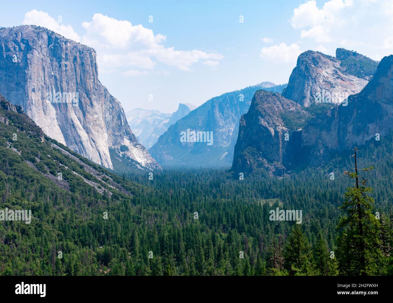 Landscape of rocks and greenery in Yosemite National Park under the ...