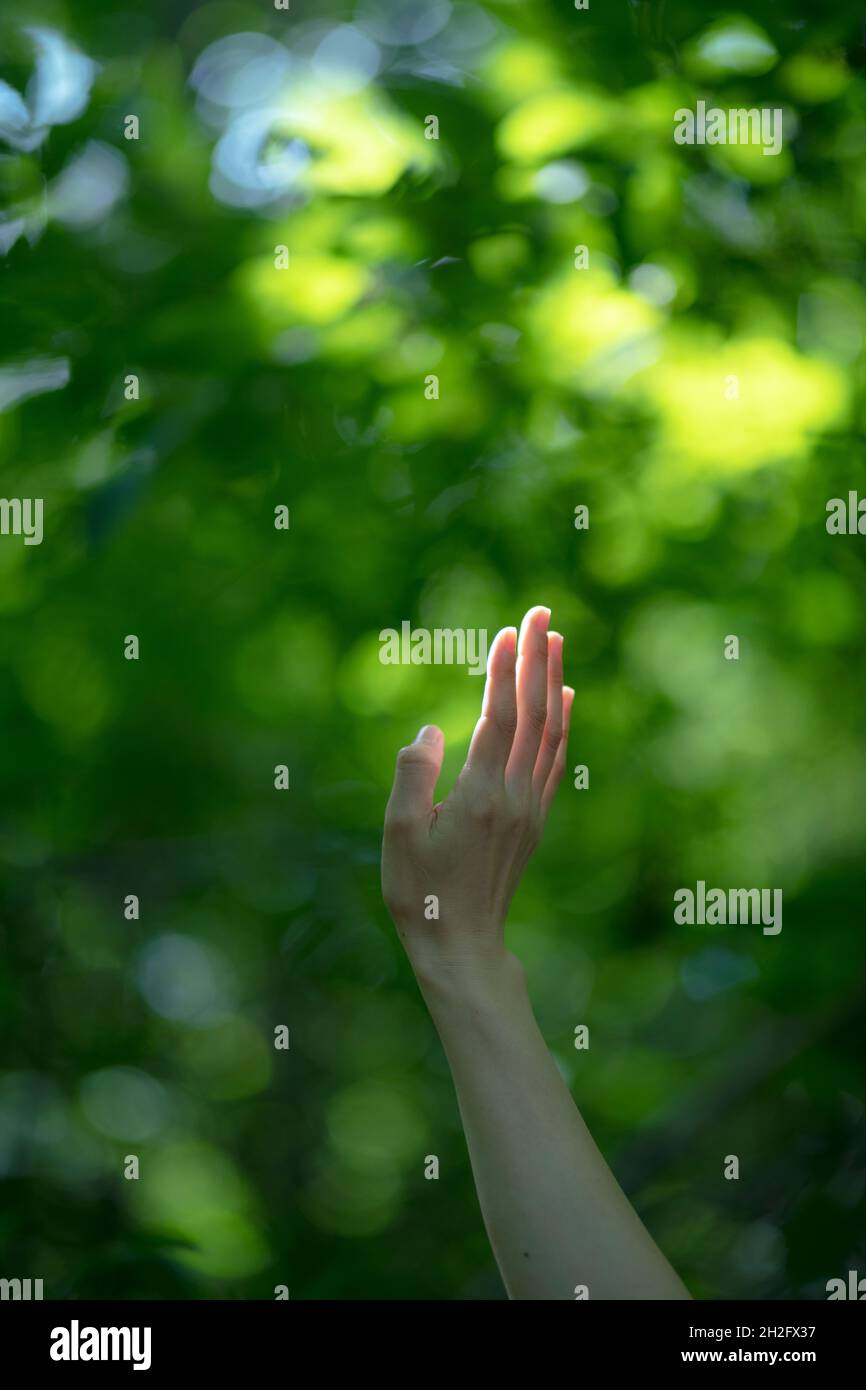 Hand Reaching Toward Light Stock Photo - Alamy