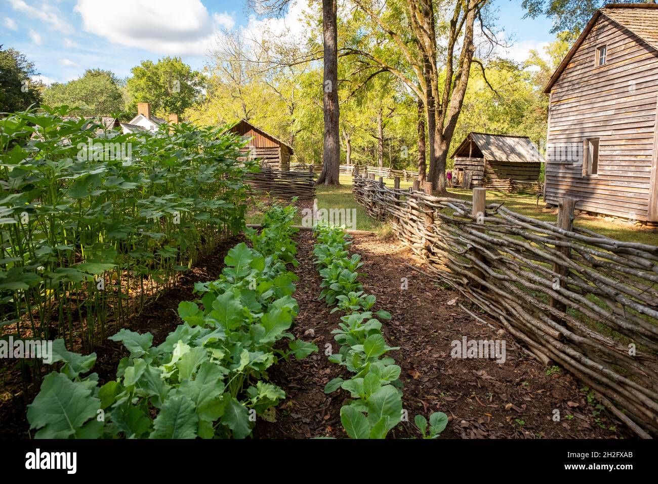 Rustic Vegetable Garden