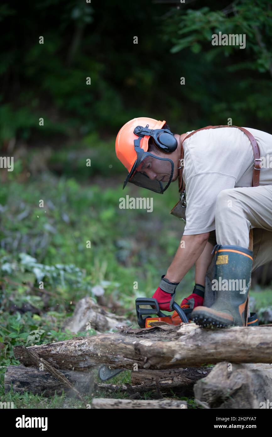 Man Cutting a Log Stock Photo - Alamy