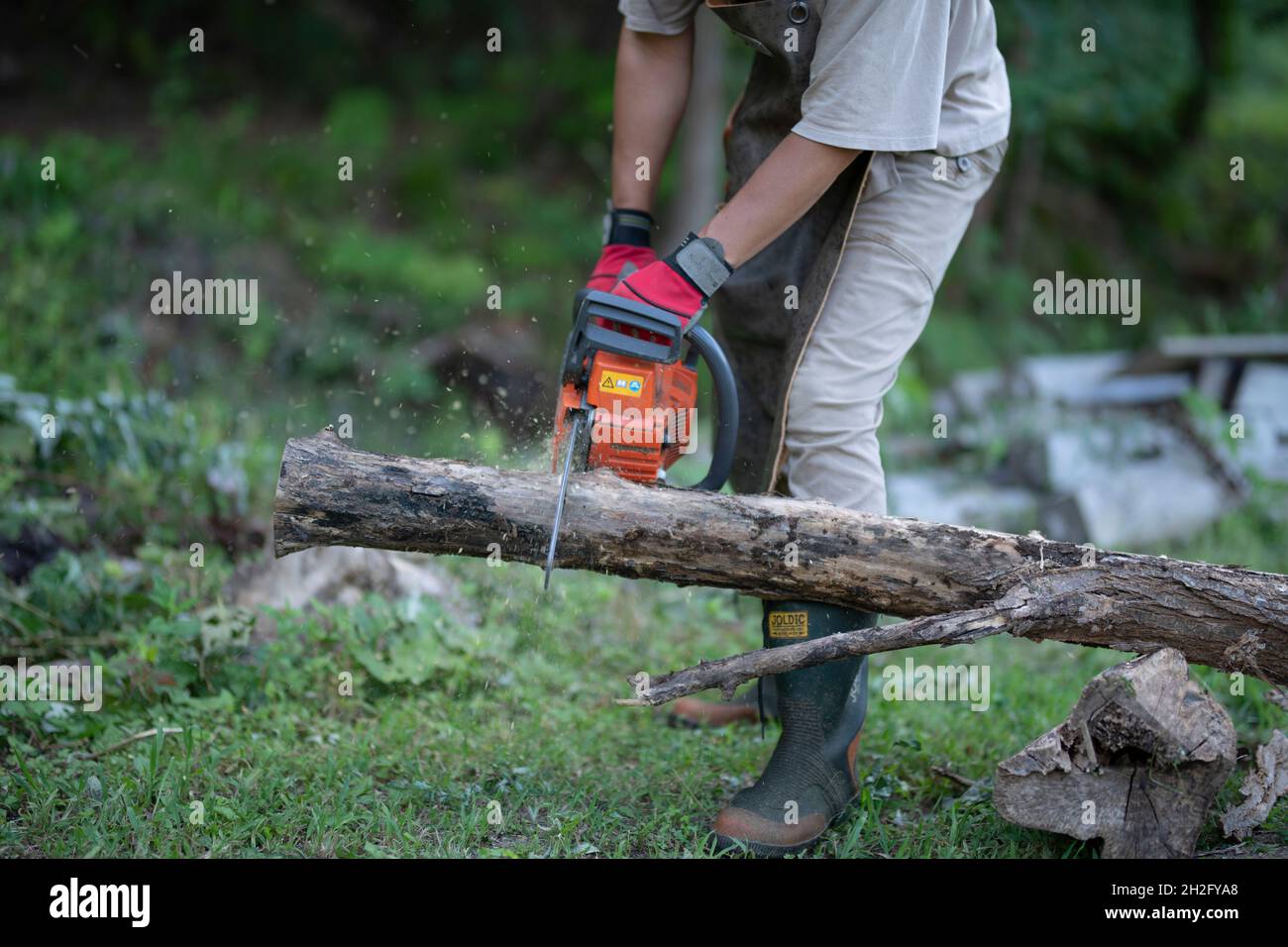 Man Cutting a Log Stock Photo - Alamy