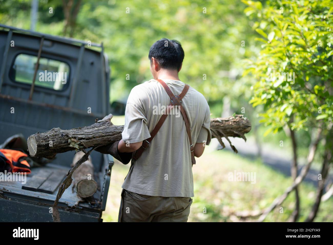 Man Collecting Logs Stock Photo - Alamy