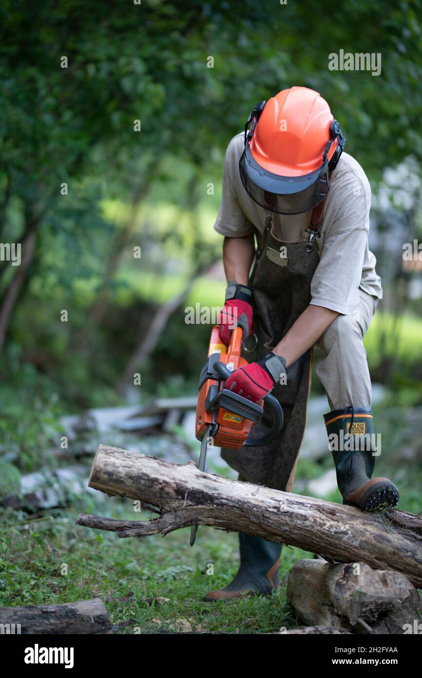 Man Cutting a Log Stock Photo - Alamy