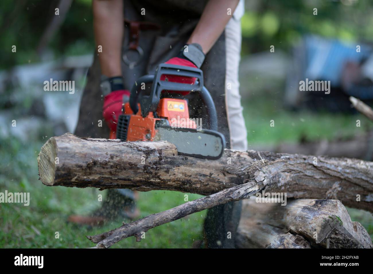 Man Cutting a Log Stock Photo - Alamy
