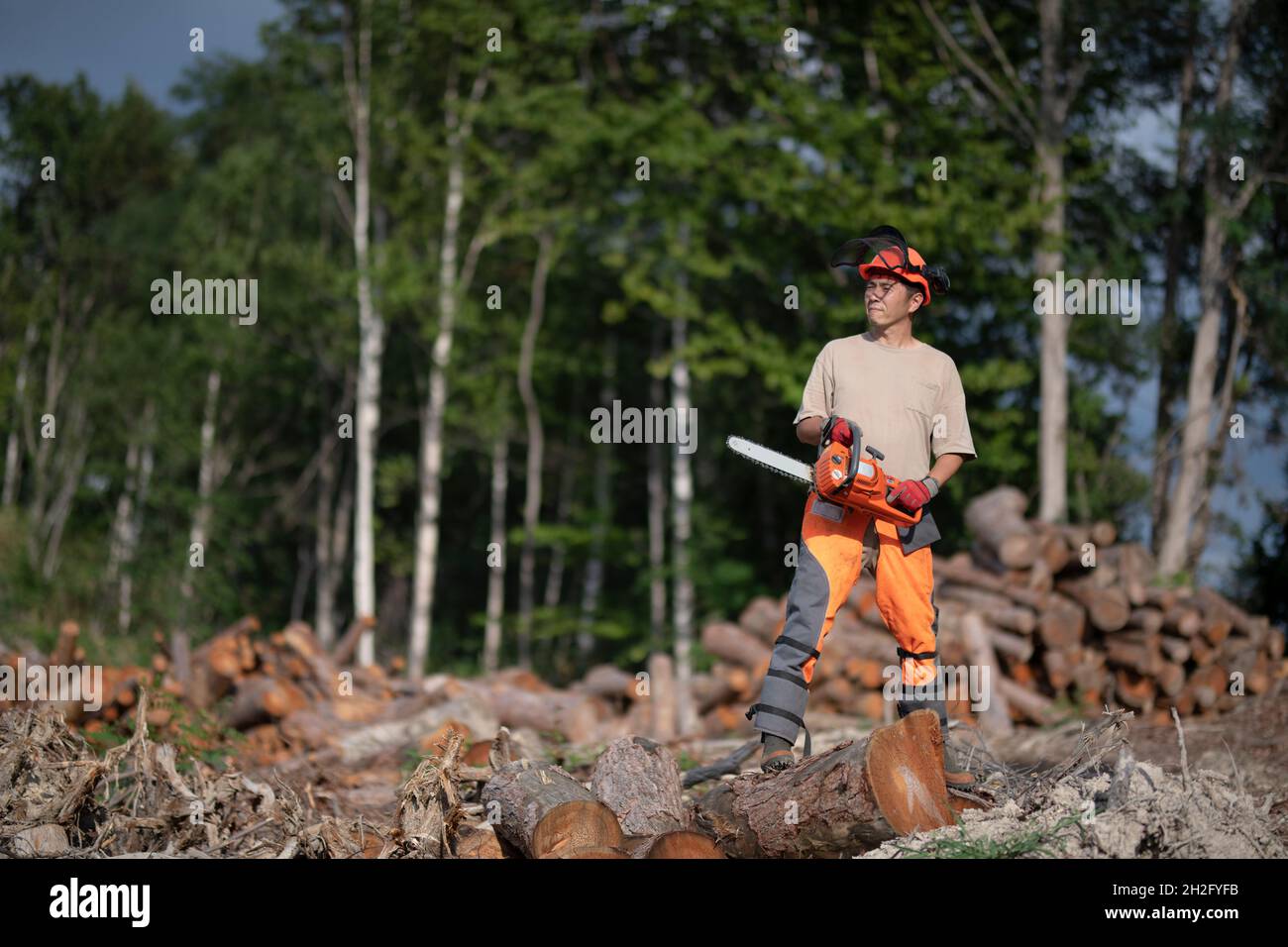 Man chain saw hi-res stock photography and images - Alamy