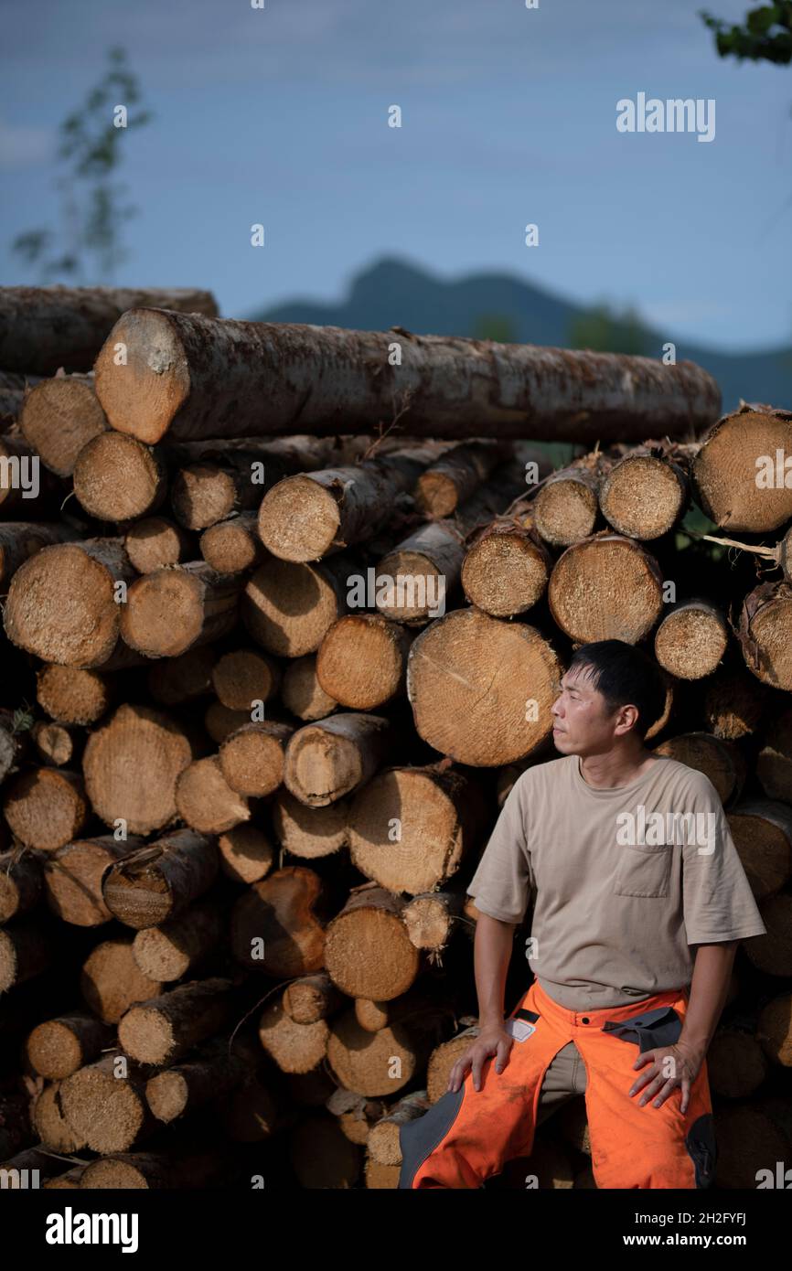 Man Standing in front of Stacked Logs Stock Photo - Alamy