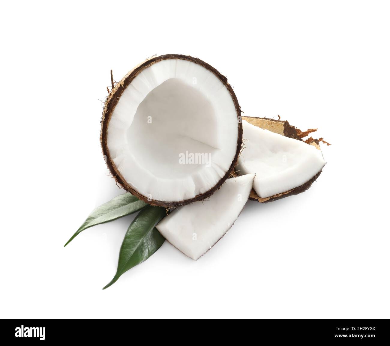 Ripe coconut with leaves on white background Stock Photo - Alamy