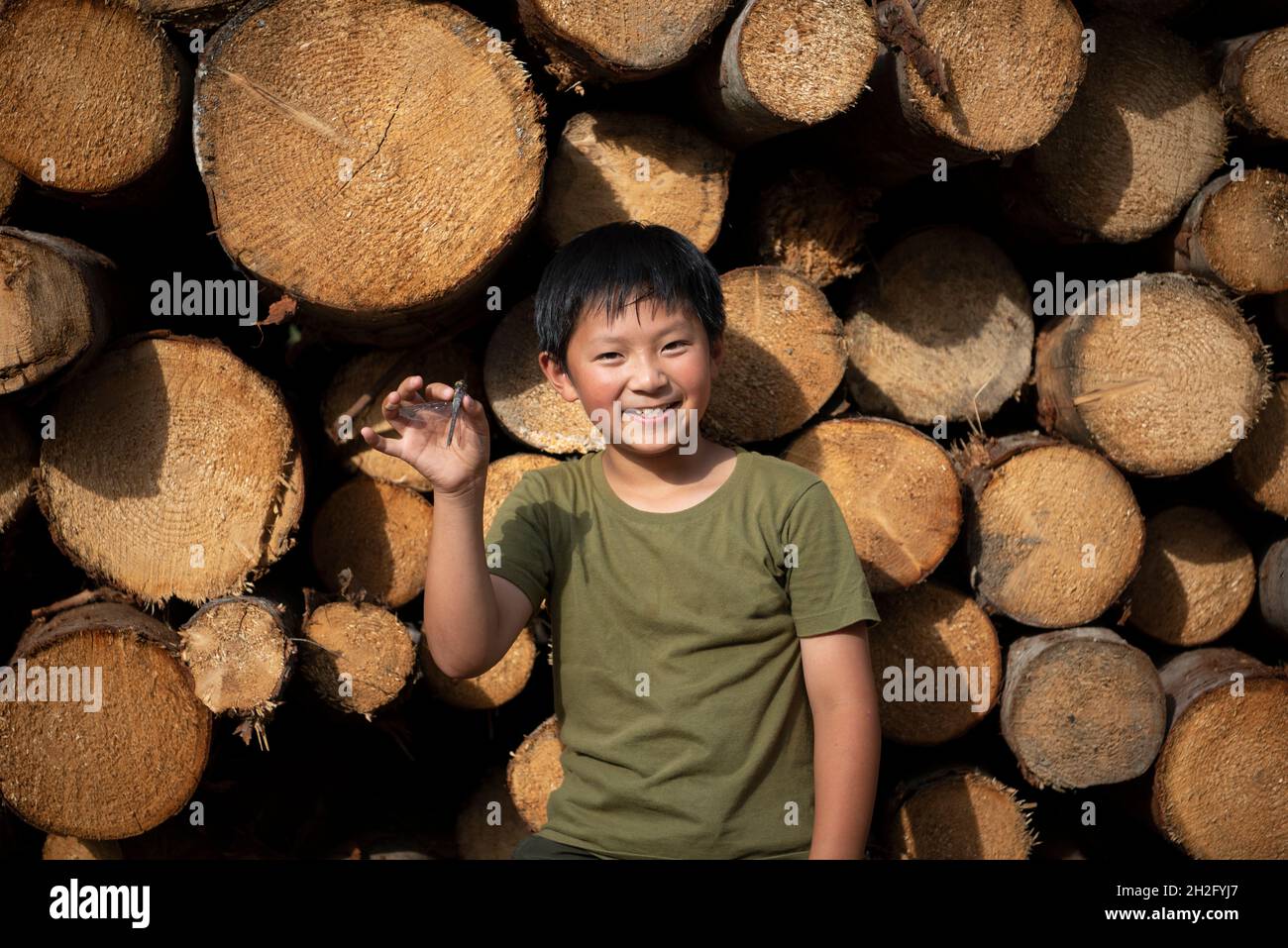 Child Standing in front of Logs Stock Photo - Alamy