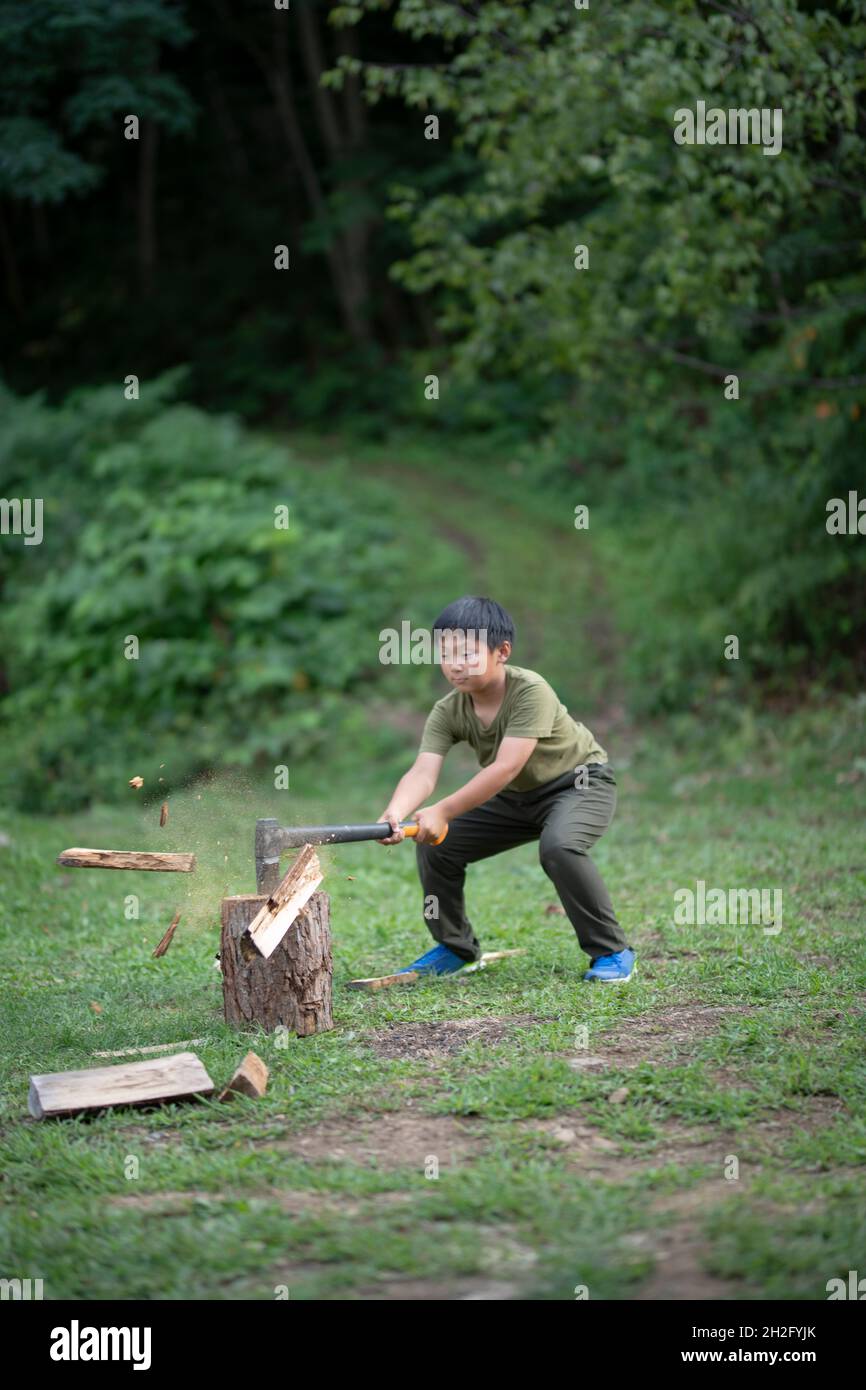 Child Chopping Wood Stock Photo - Alamy
