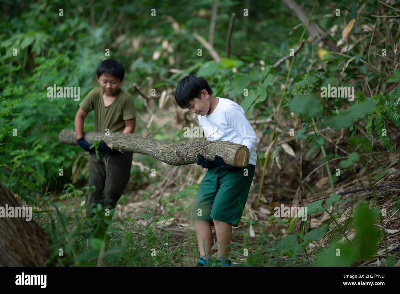 Children Carrying Log Stock Photo - Alamy