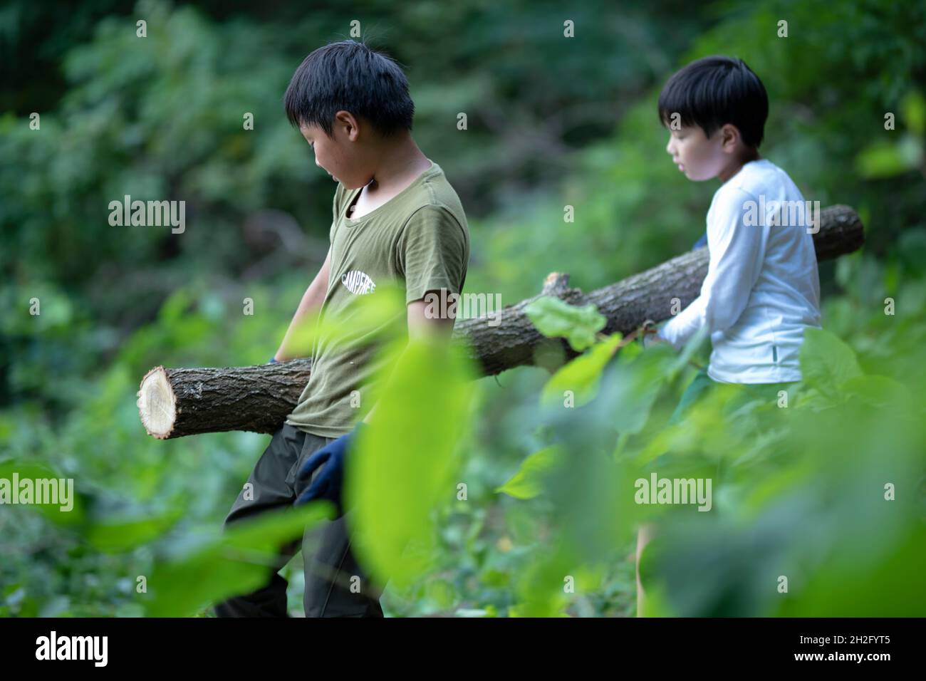 Children Carrying Log Stock Photo - Alamy