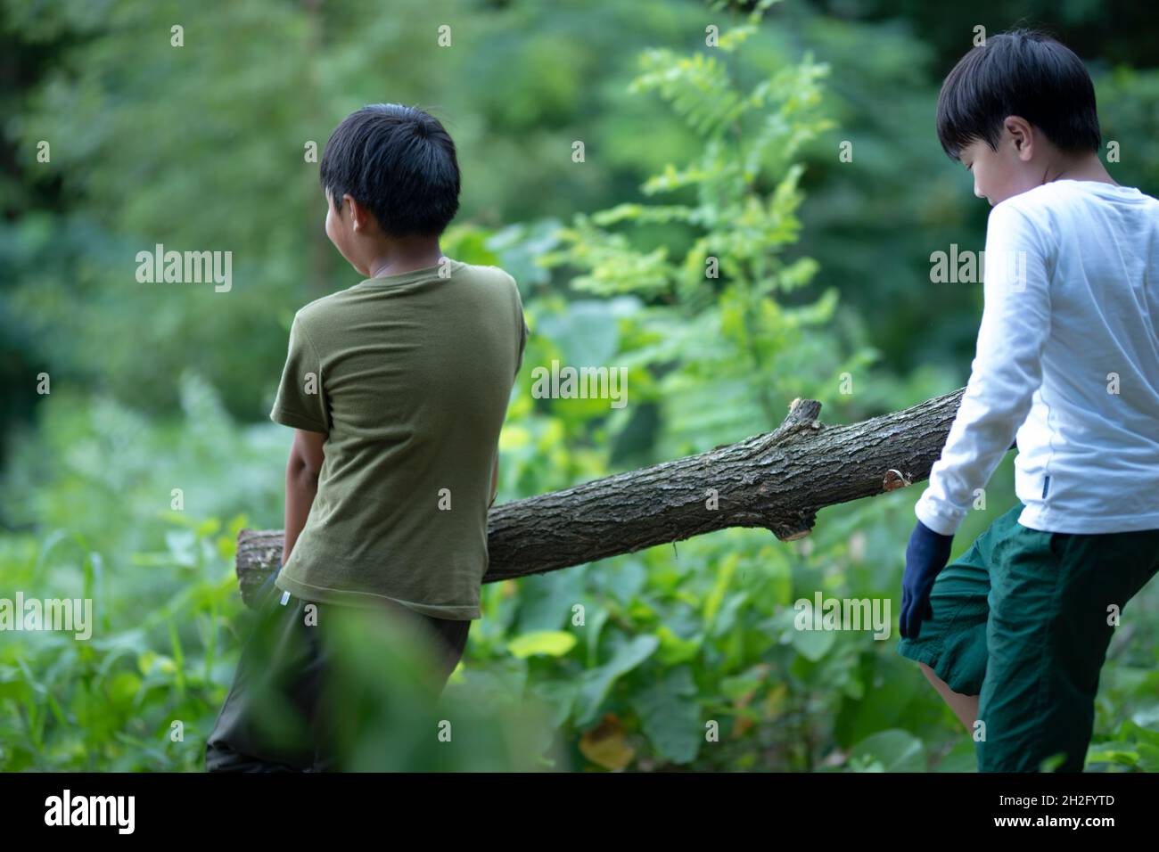 Children Carrying Log Stock Photo - Alamy