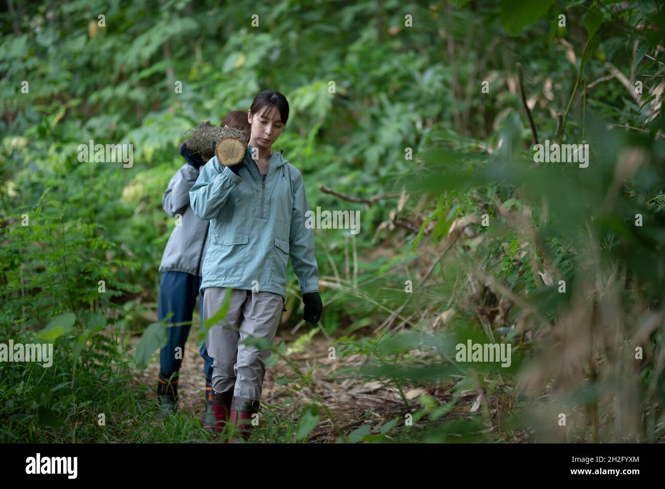 Women Carrying Log Stock Photo - Alamy