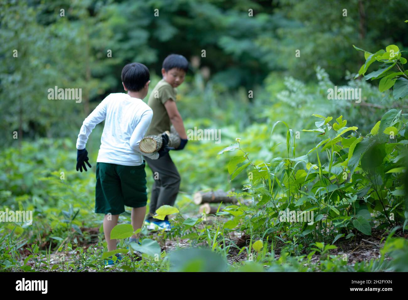 Children Carrying Log Stock Photo - Alamy