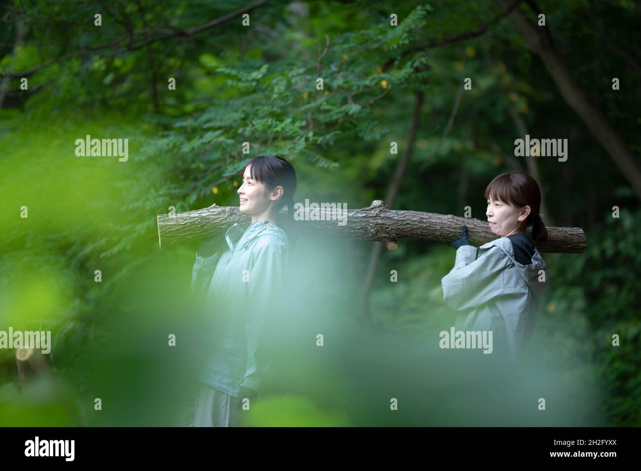Women Carrying Log Stock Photo - Alamy