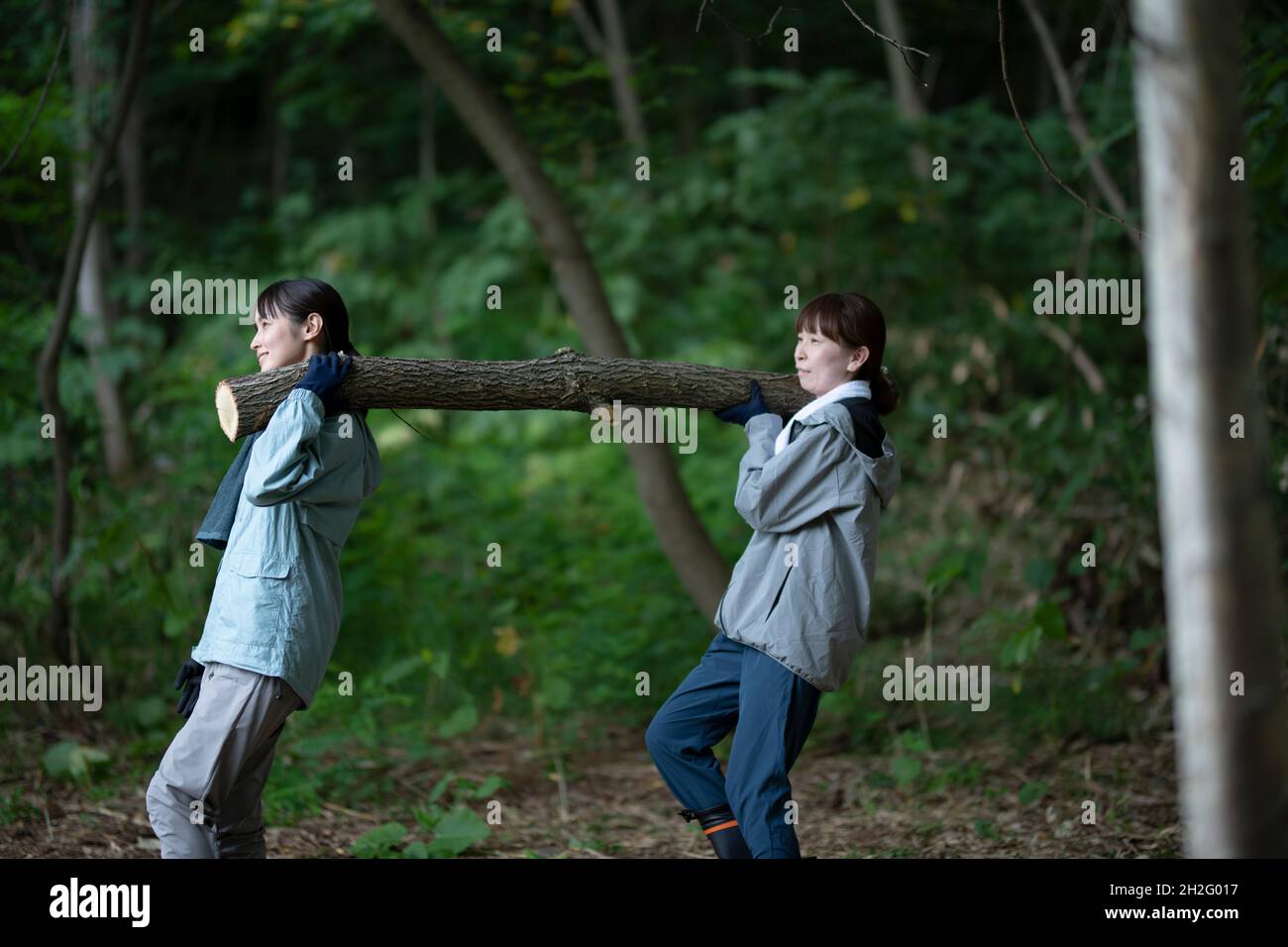 Women Carrying Log Stock Photo - Alamy