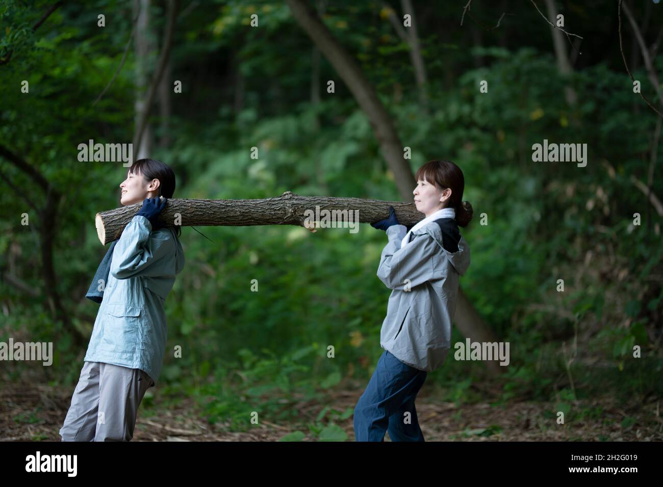 Women Carrying Log Stock Photo - Alamy