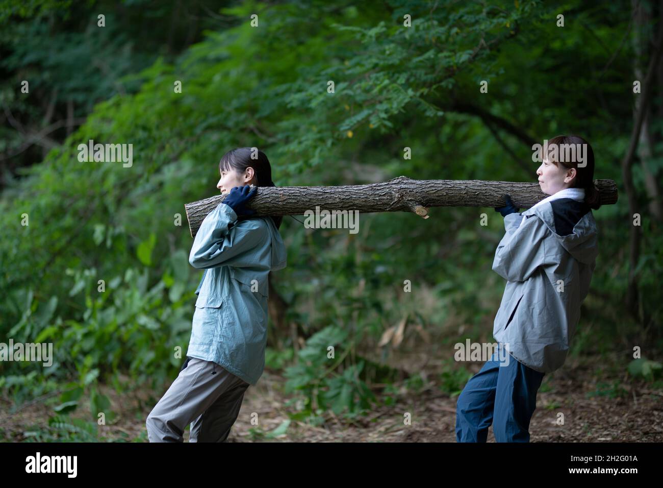 Women Carrying Log Stock Photo - Alamy
