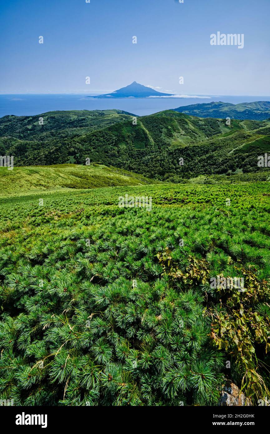 View from top of Mt. Rebun, Hokkaido, Japan Stock Photo - Alamy