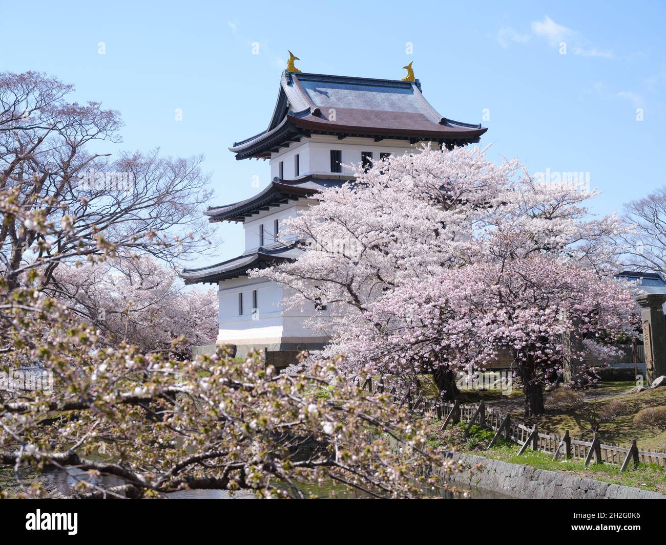 Cherry Blossoms in Matsumae Castle, Hokkaido, Japan Stock Photo - Alamy