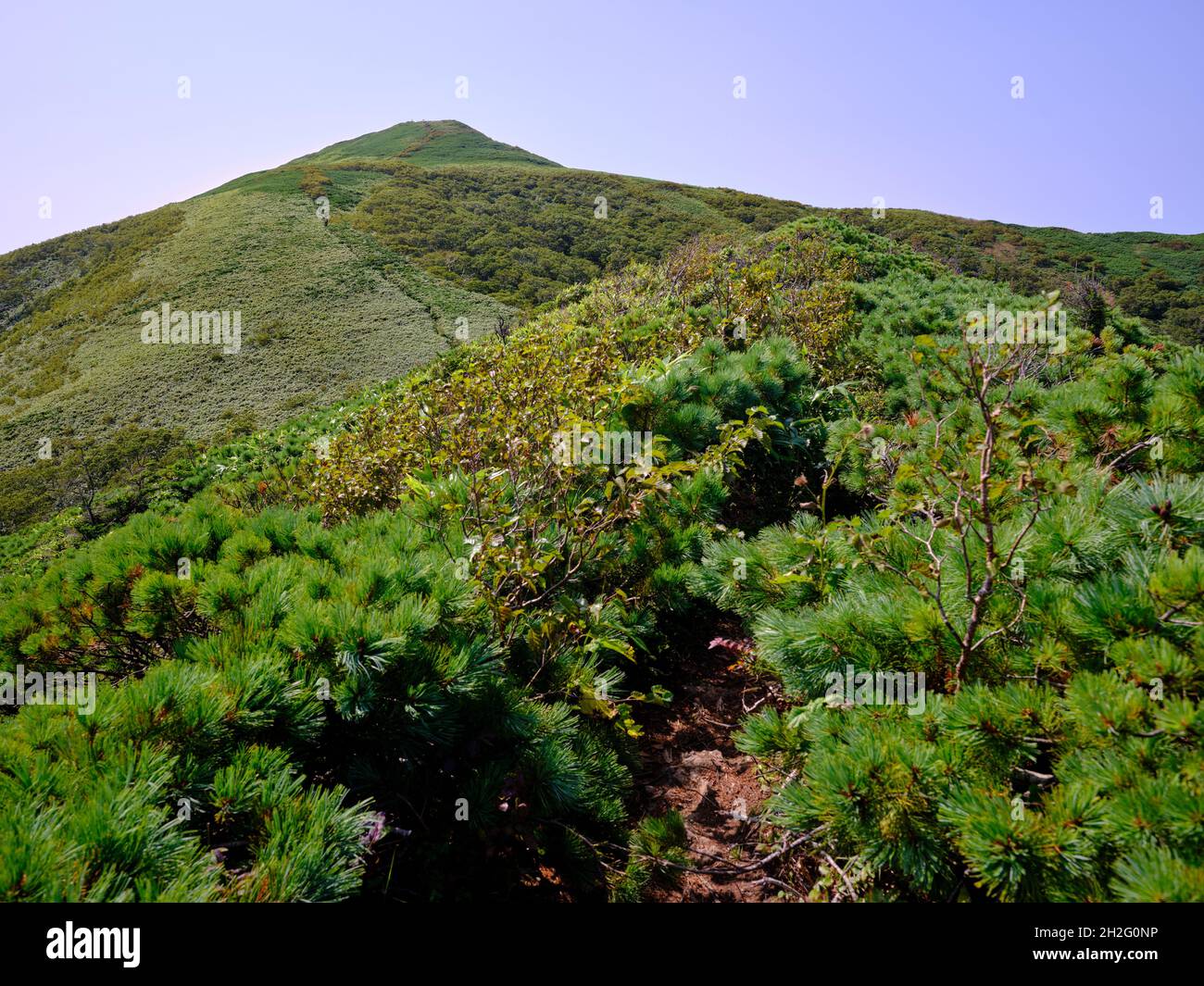 Mountain Trail in Mt. Rebun, Hokkaido, Japan Stock Photo - Alamy