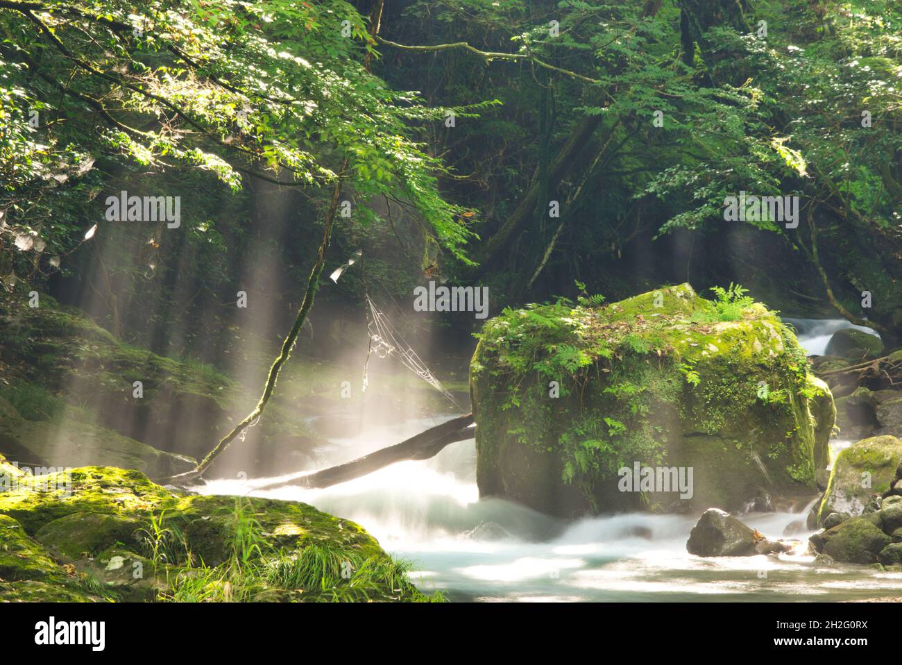 Tateiwa Suigen (Tateiwa Spring Source) Park in Summer, Kumamoto ...