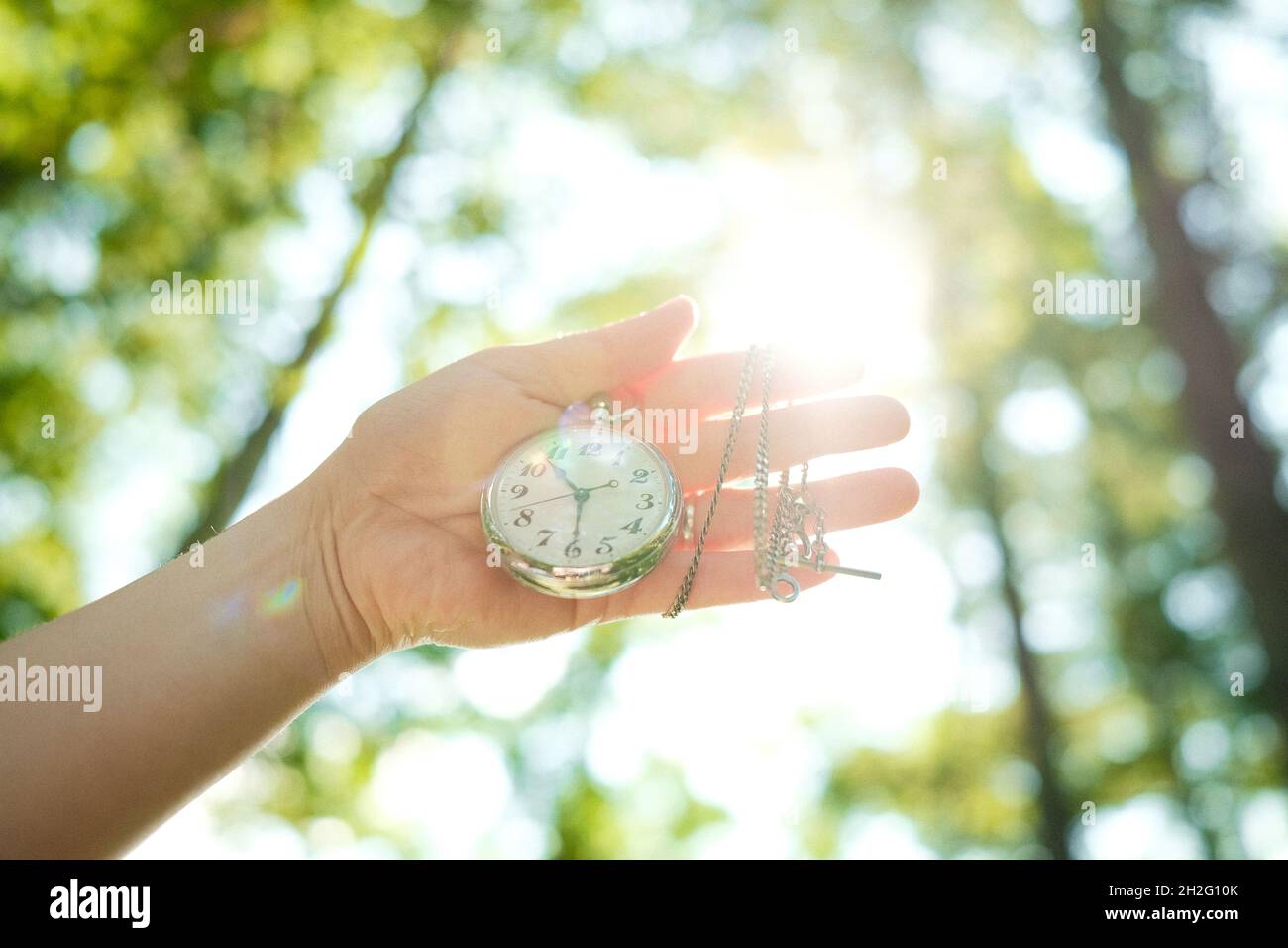 Pocket Watch in the Forest Stock Photo - Alamy