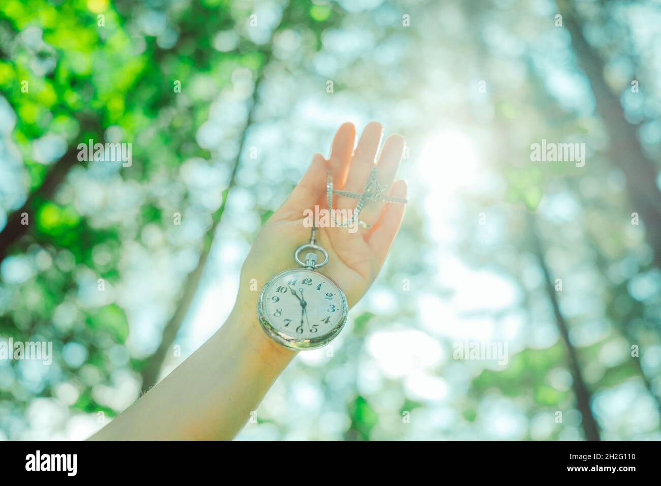 Pocket Watch in the Forest Stock Photo - Alamy