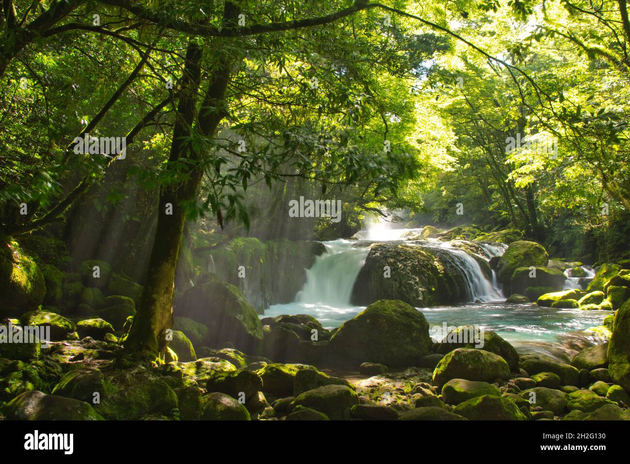 Kikuchi Gorge in Summer, Kumamoto Prefecture, Japan Stock Photo - Alamy