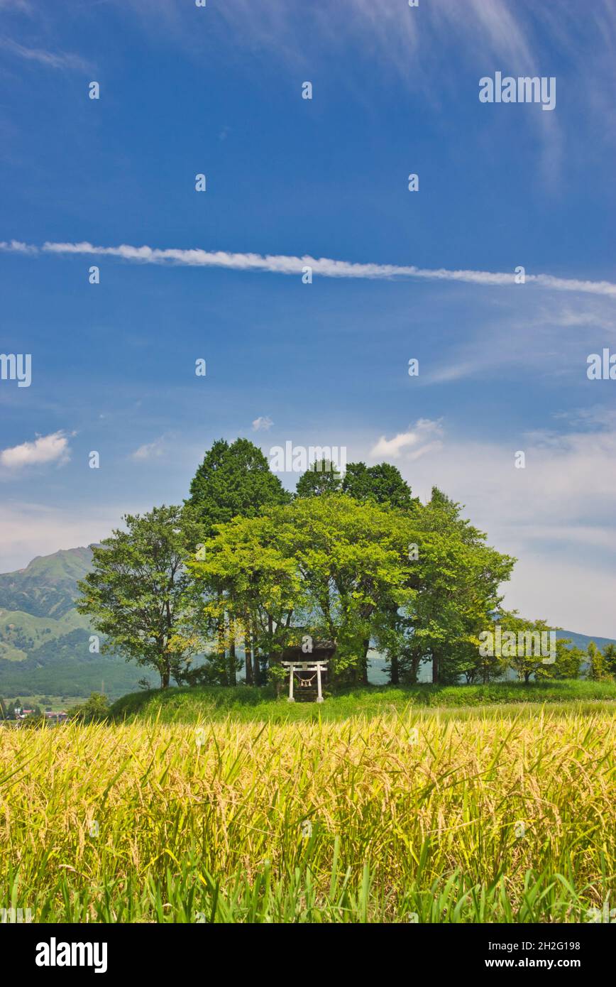 Showa village hi-res stock photography and images - Alamy