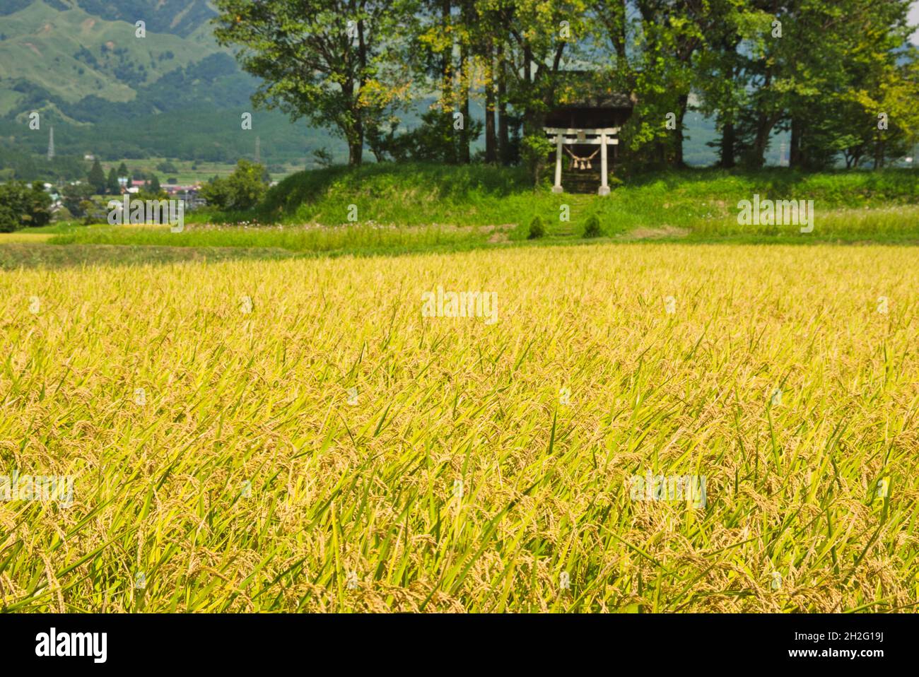 Showa village hi-res stock photography and images - Alamy