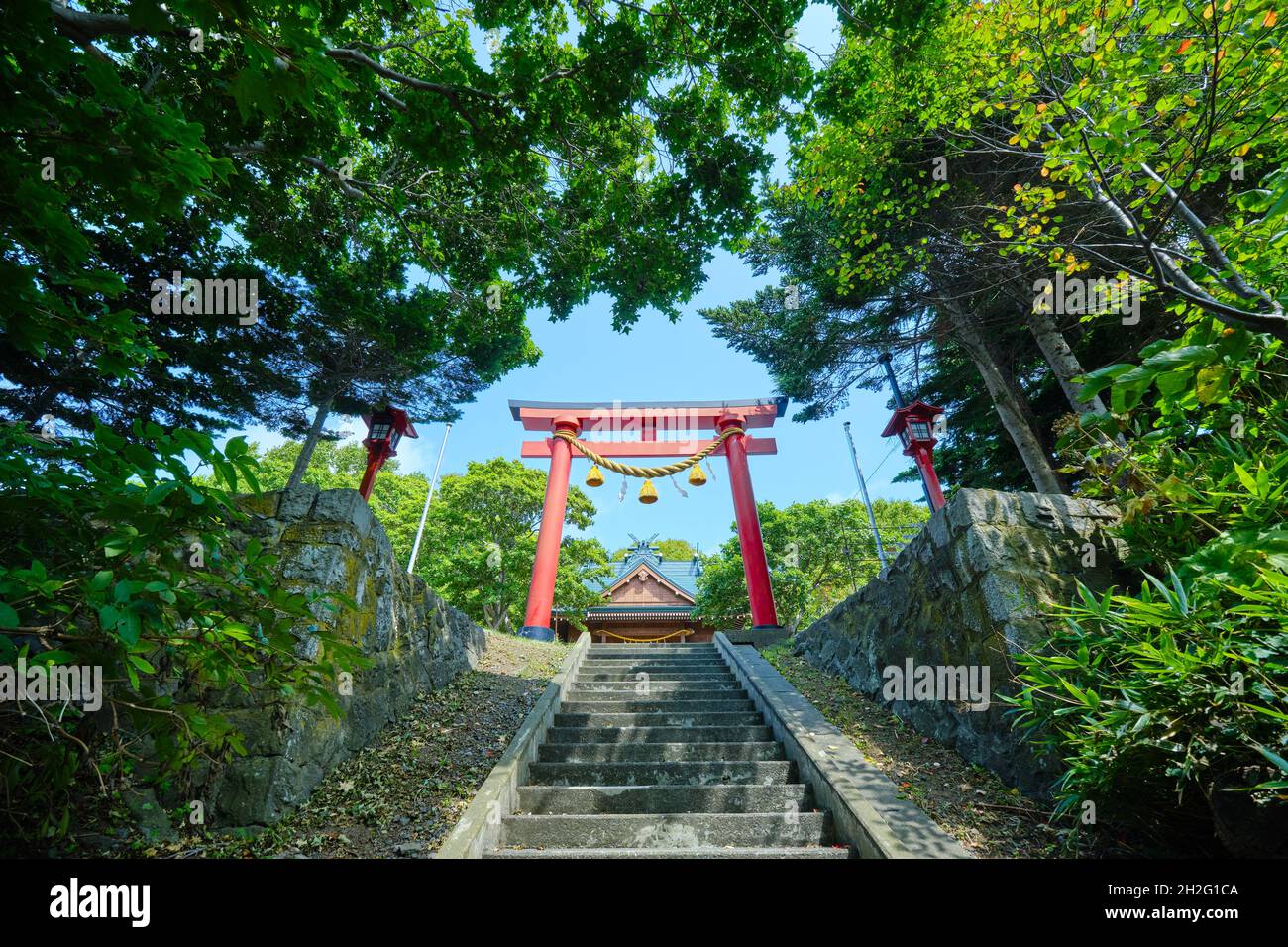 Torii Gate in Forest Stock Photo - Alamy