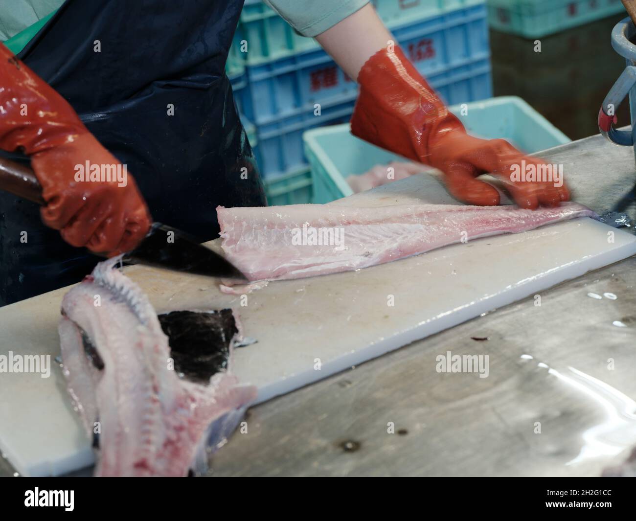 Cutting fish hi-res stock photography and images - Alamy