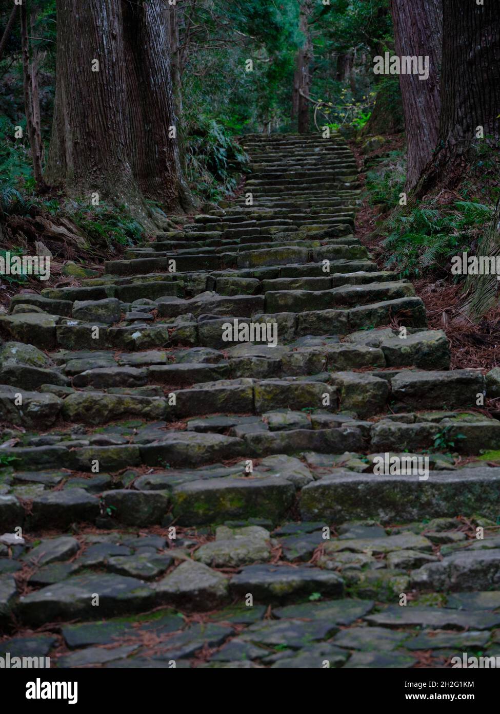 Big stone steps hi-res stock photography and images - Alamy