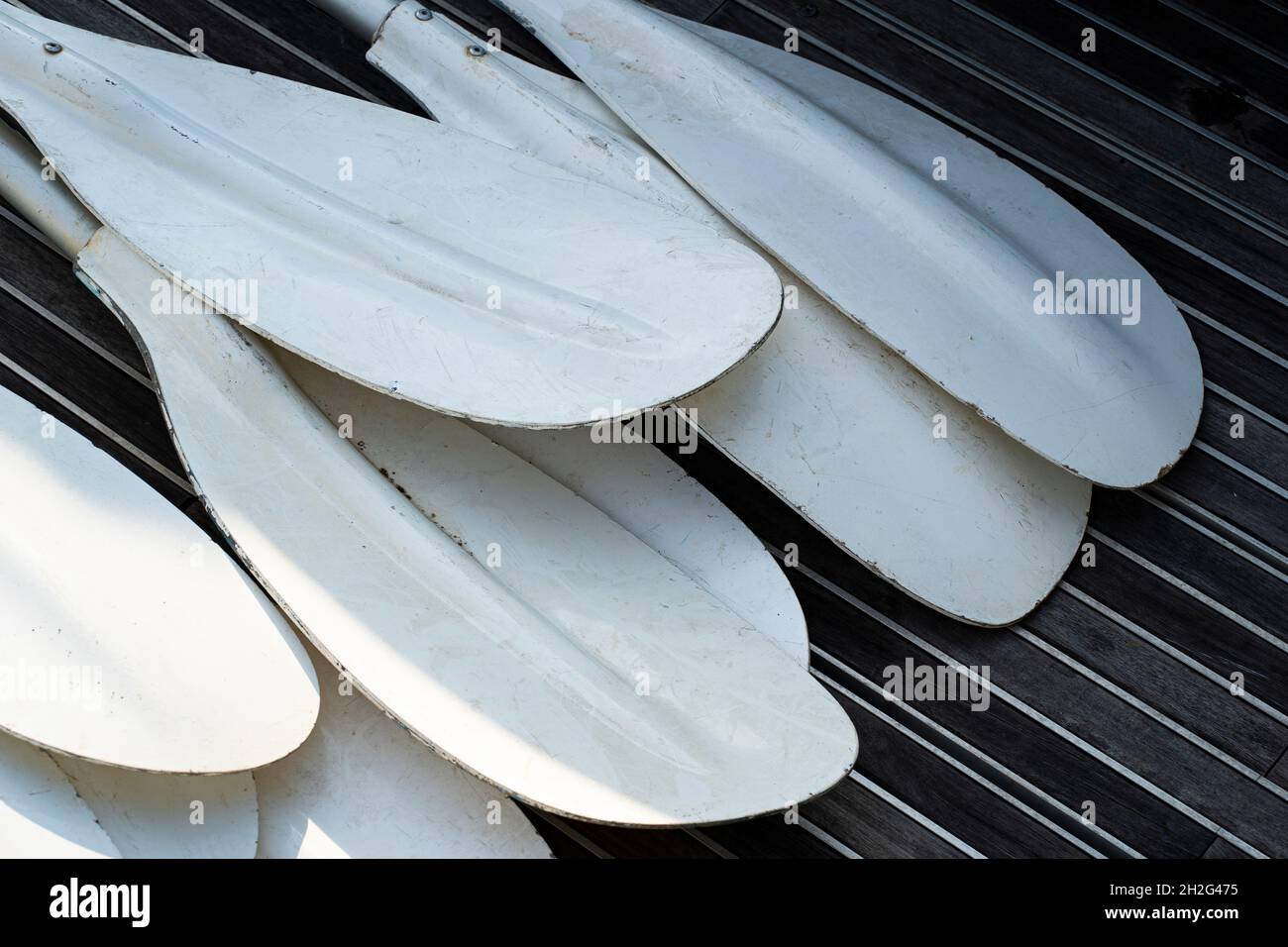 Sweep oars hi-res stock photography and images - Alamy