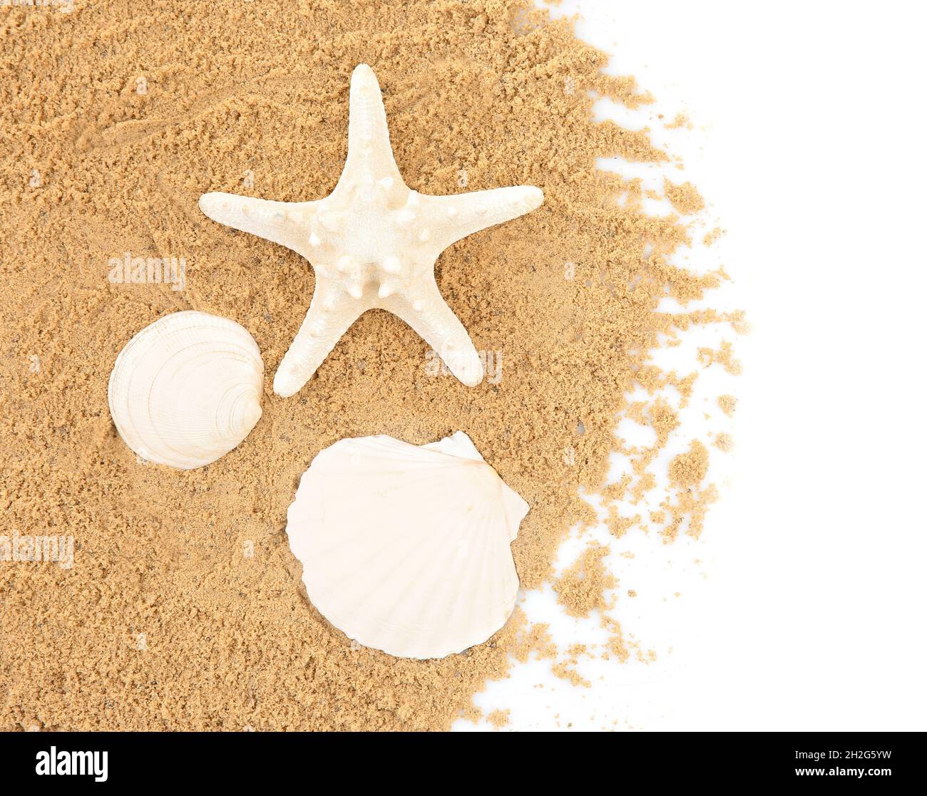 Composition with beach objects on white background, top view Stock ...
