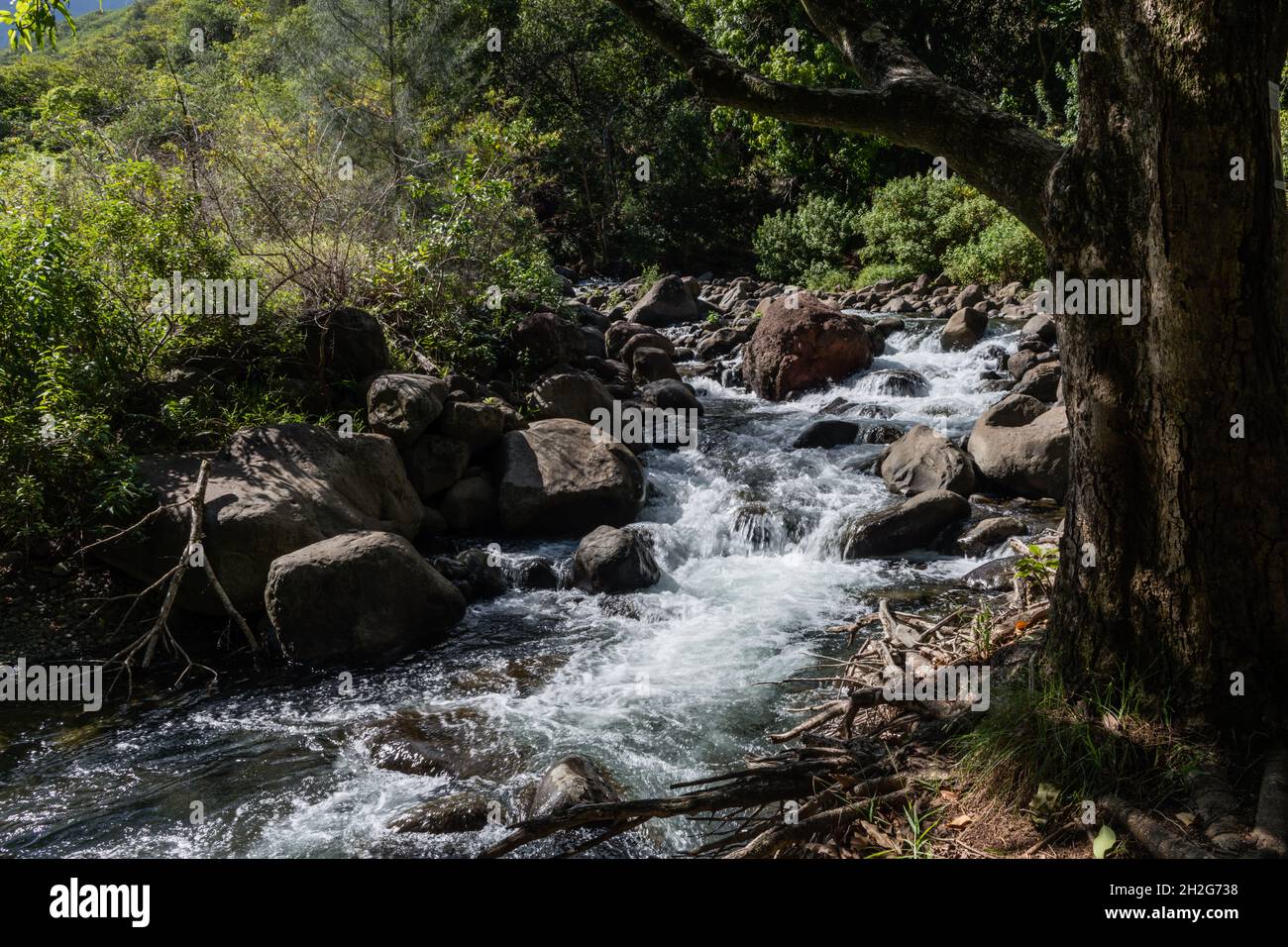 Iao rock hi-res stock photography and images - Alamy