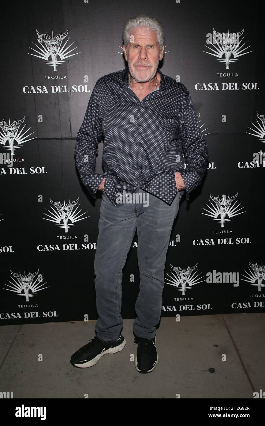 Los Angeles, Ca. 21st Oct, 2021. Ron Perlman at Brian Bowen SmithÕs ...