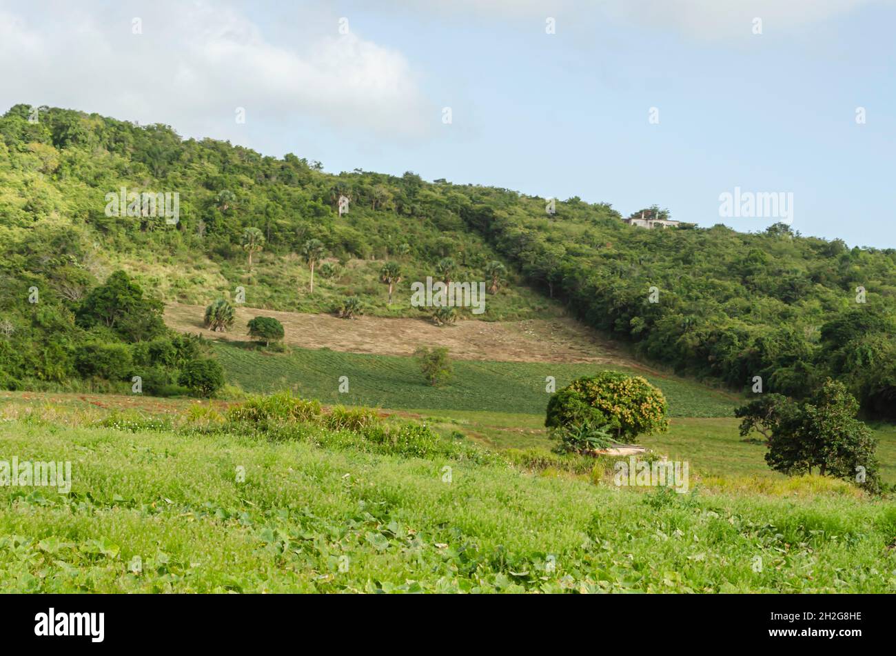 Rural skyline hi-res stock photography and images - Alamy