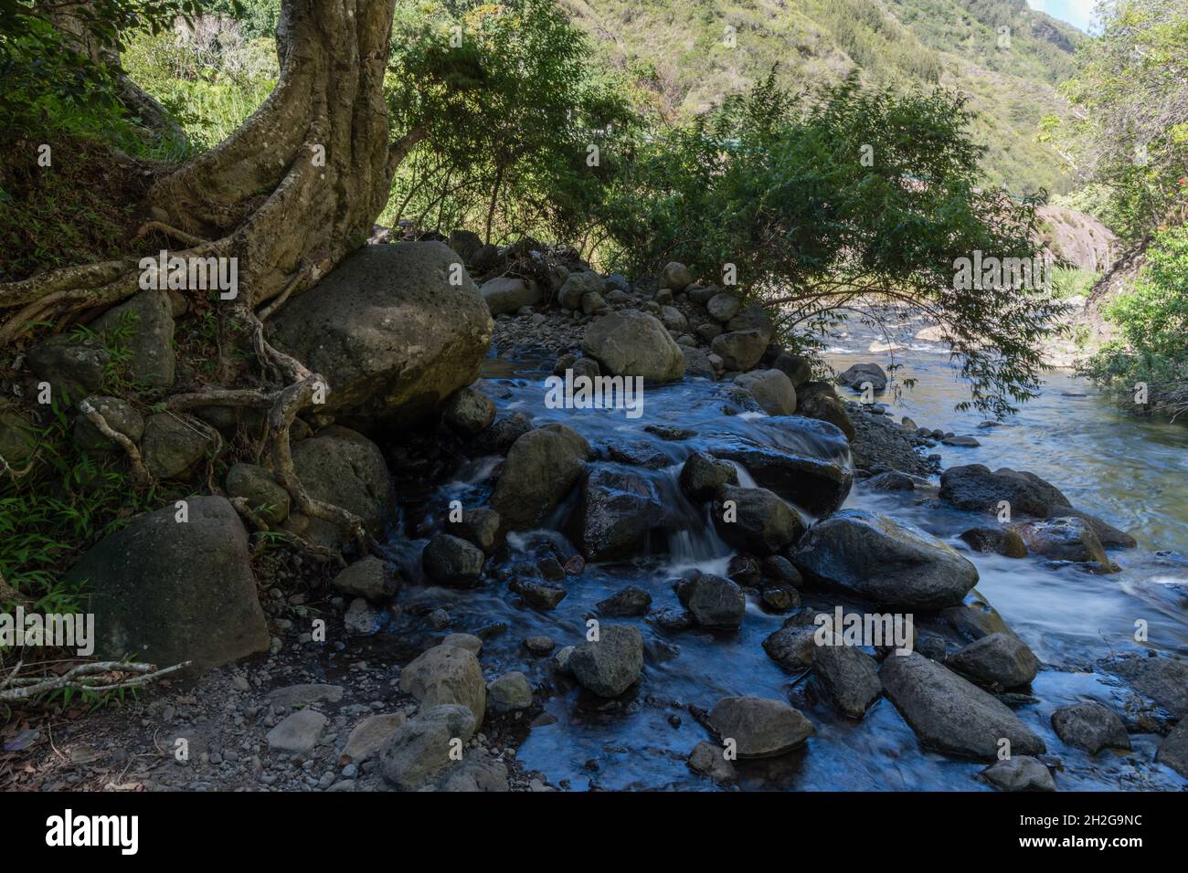 Scenic Iao Stream vista, West Maui Mountains, Hawaii Stock Photo - Alamy
