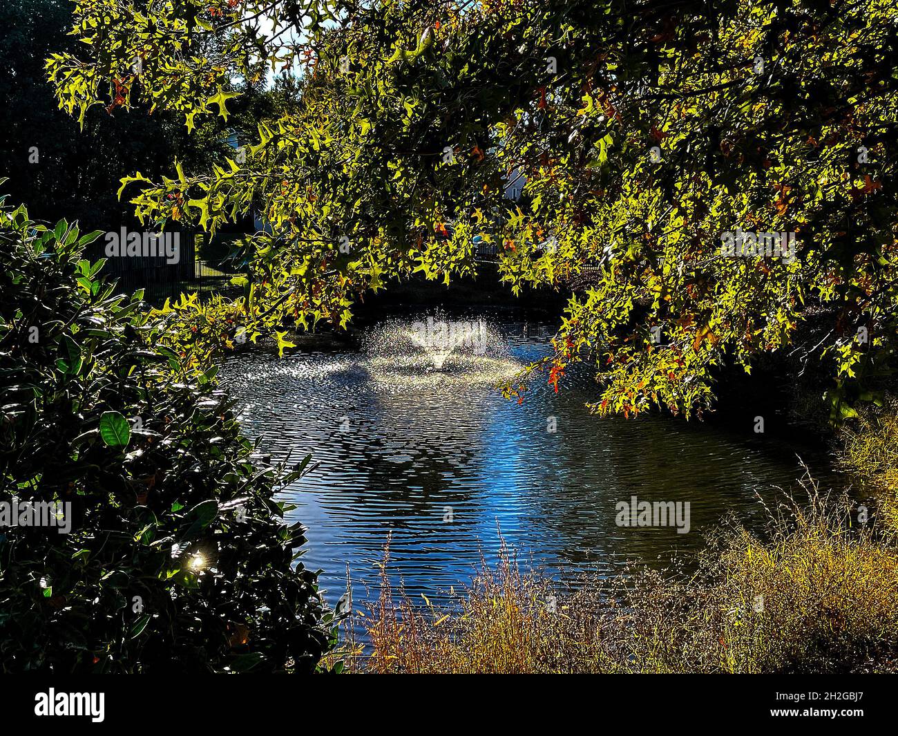 Cooling fountain hi-res stock photography and images - Alamy
