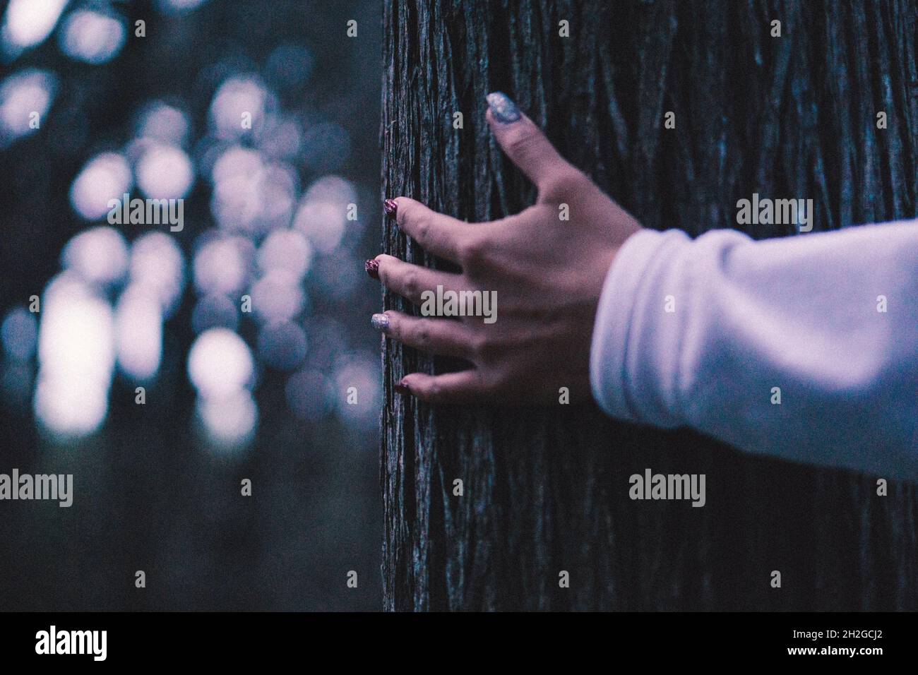 girlfriends hand on tree Stock Photo - Alamy