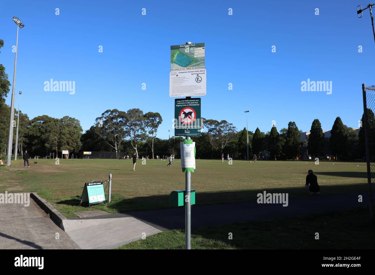 Blackmore oval hi-res stock photography and images - Alamy