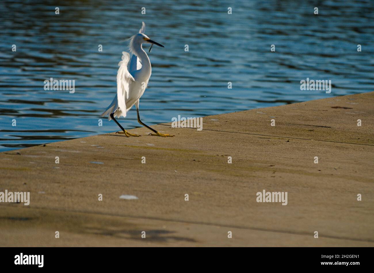 Balboa landing hi-res stock photography and images - Alamy