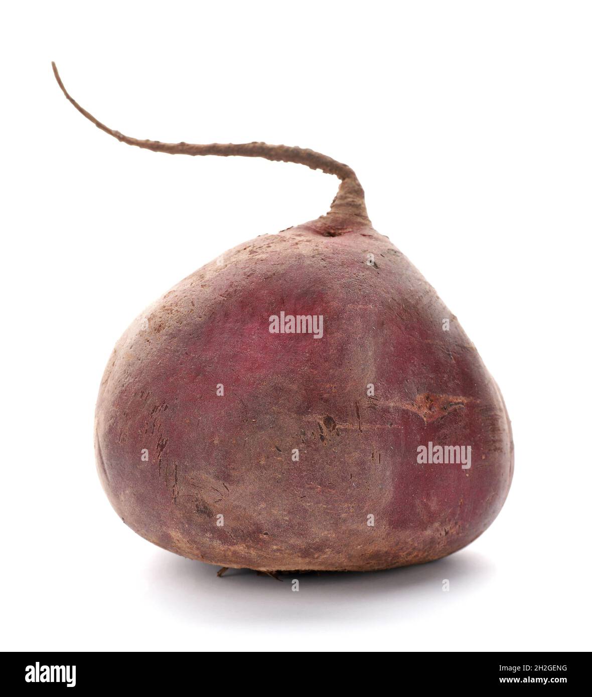 Organic beet on white background. Taproot vegetable Stock Photo - Alamy
