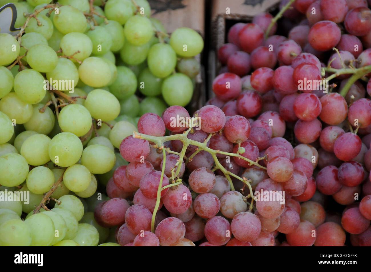 Copenhagen, Denmark.,16 October 2021,/Grapes fruit for sale at fruit ...
