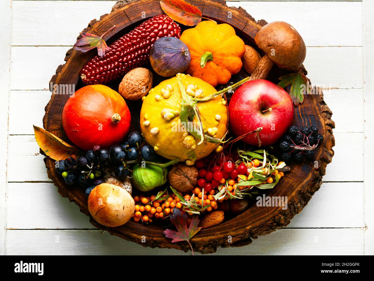 Large set of colorful autumn fruits, vegetables and berries Stock Photo ...