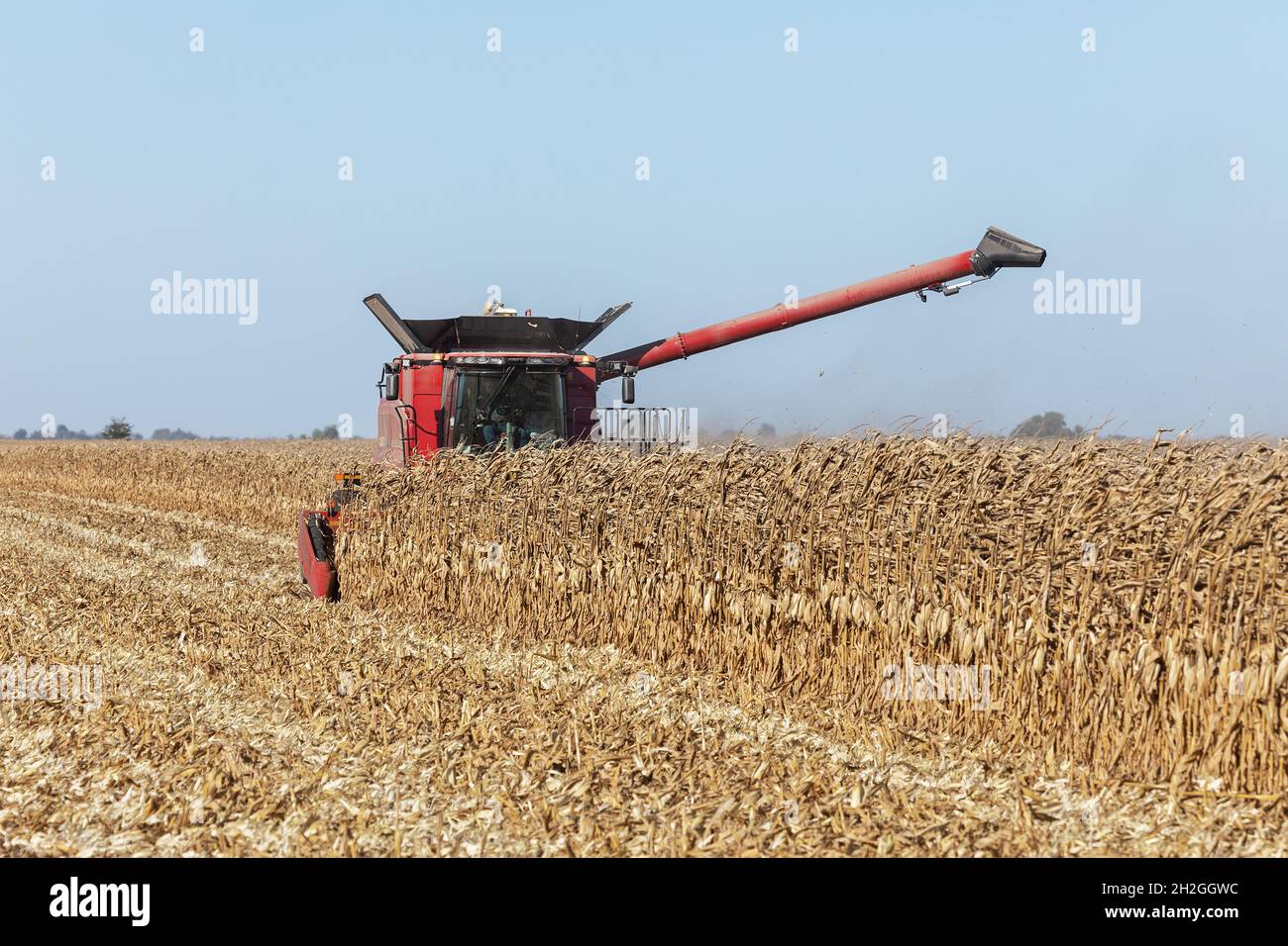 A combine harvesting corn in Henry County, Iowa Stock Photo - Alamy