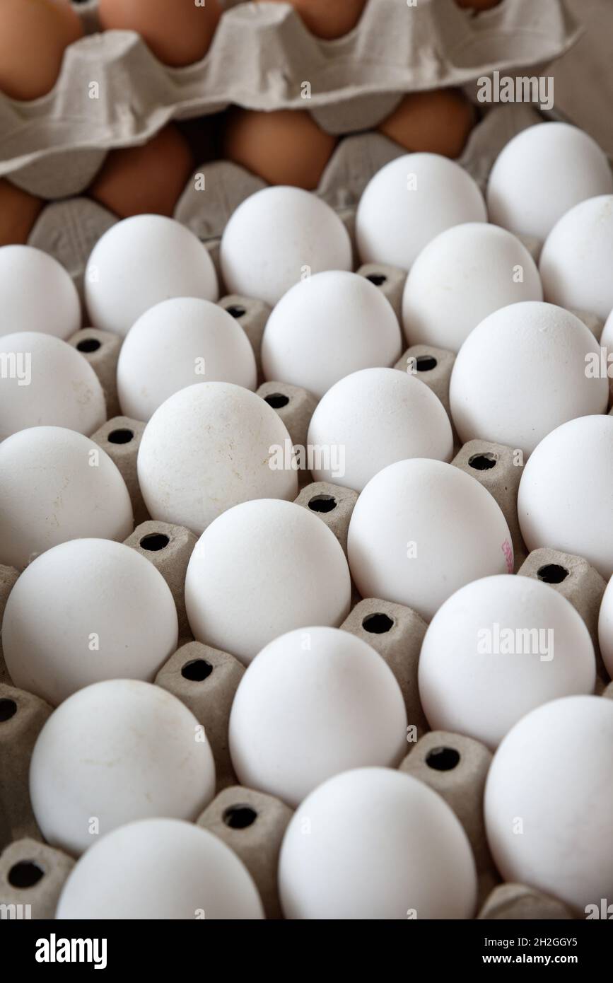 Cardboard egg boxes with chicken eggs Stock Photo - Alamy