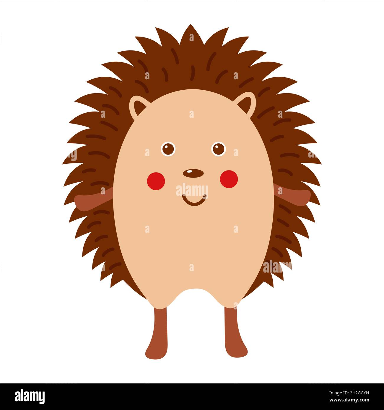 Cute smiling hedgehog, adorable wild animal, funny hedgehog, isolated ...